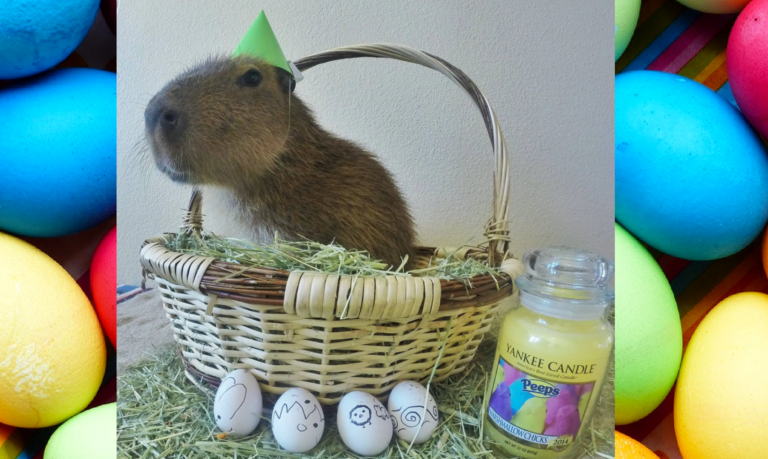 Happy Easter!!! - National Zero