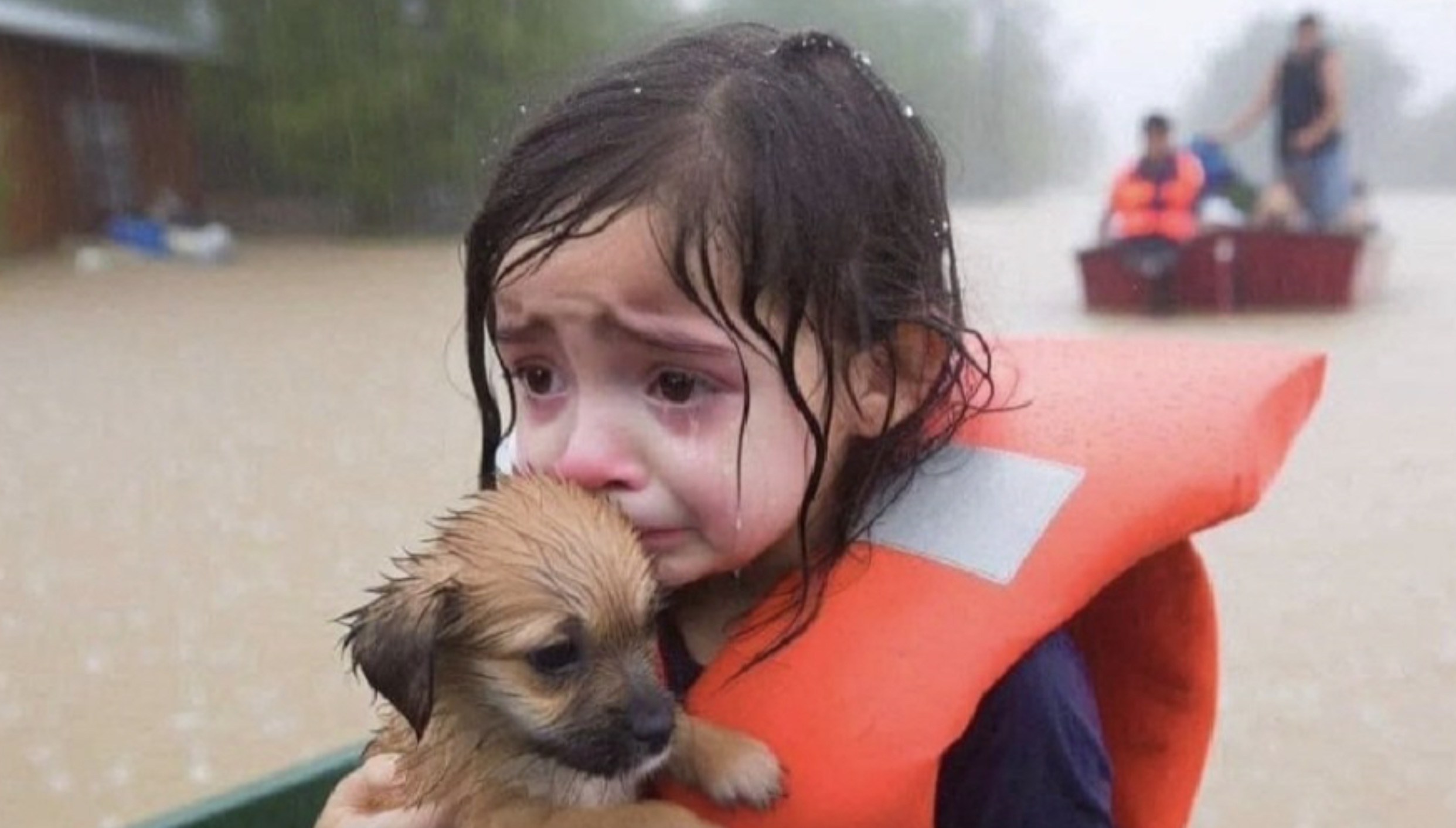 No need for it to feel true when it is actually, tragically, true in ...