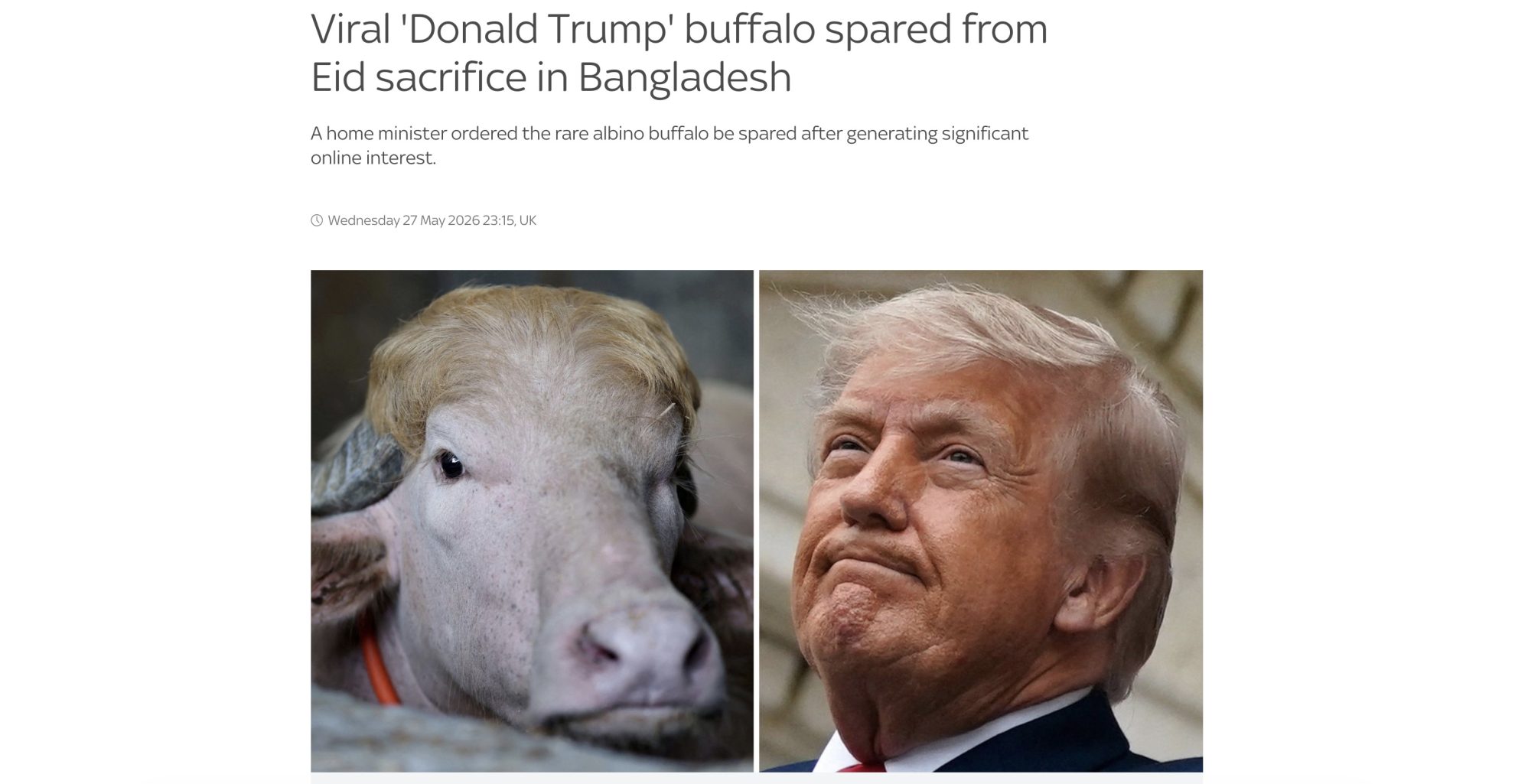 But the buffalo isn't even orange - National Zero